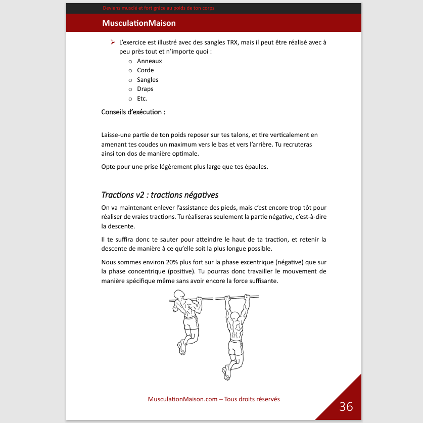 Programme Musculation Poids Du Corps sur 6 Mois pour Débutant - MusculationMaison
